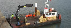 Buffalo Versatile Utility Vessel - Jenkins Marine